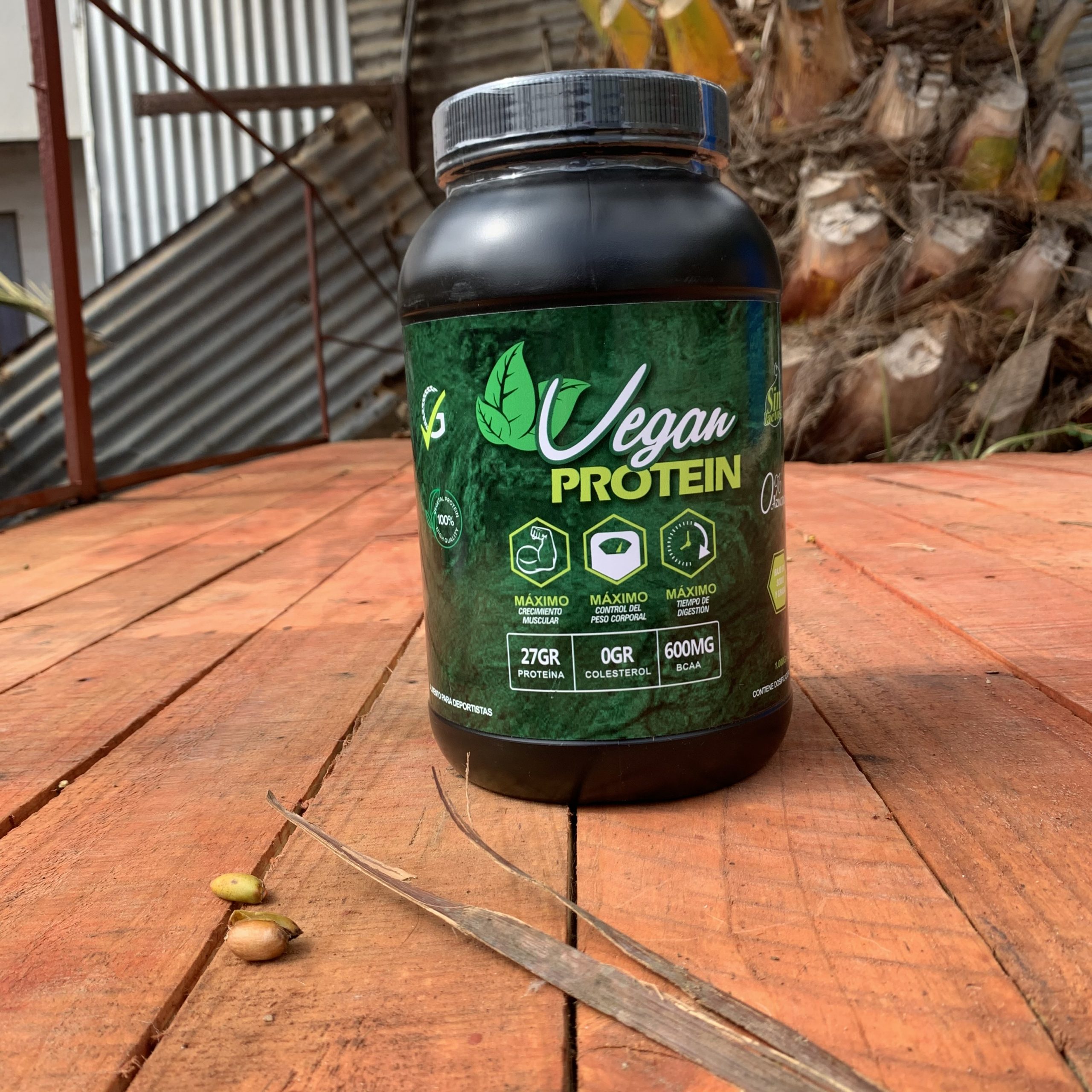 PROTEÍNA VEGANA - CloudyFitness.cl